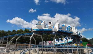 Popular types of small roller coasters in the amusement park - Andrew's ...